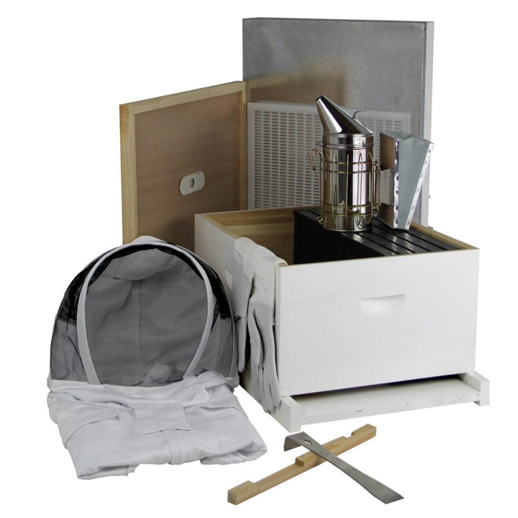 Best Beekeeping Starter Kits for Beginners