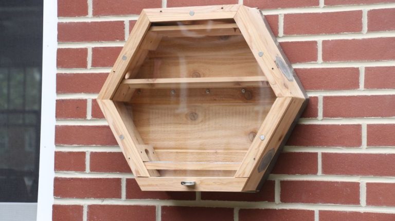 Indoor Beekeeping – What is it Exactly? - BeeKeepClub