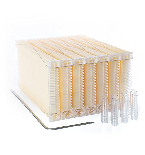 What are Honey Flow Frames? - BeeKeepClub