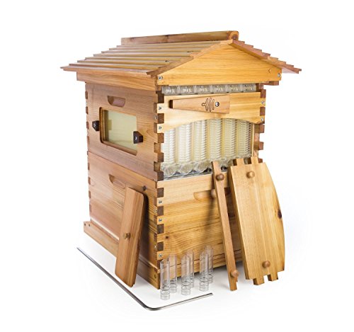 Auto Flow Beehives: Let the Honey Flow - BeeKeepClub