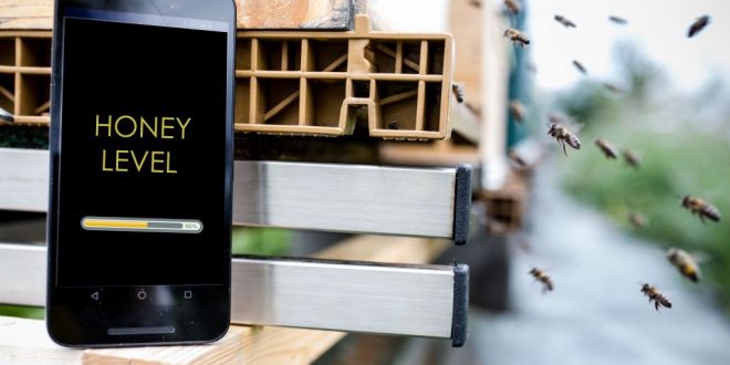 Top 10 Best Beekeeping Apps (Android & iOS) 2020 - BeeKeepClub