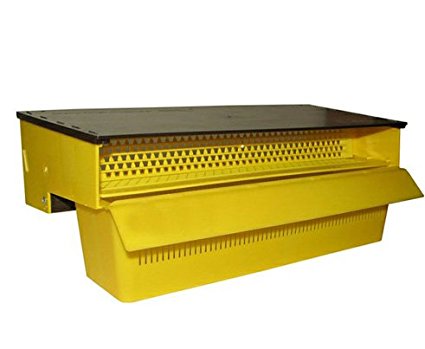 Pollen Traps: Capture Pollen Efficiently