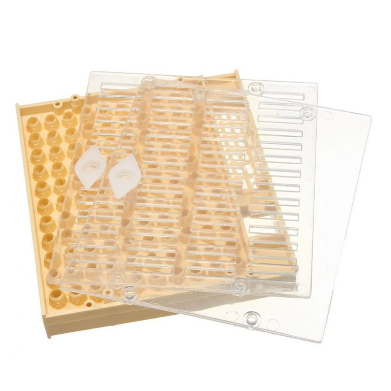 Queen Rearing Starter Kits for Beekeeping
