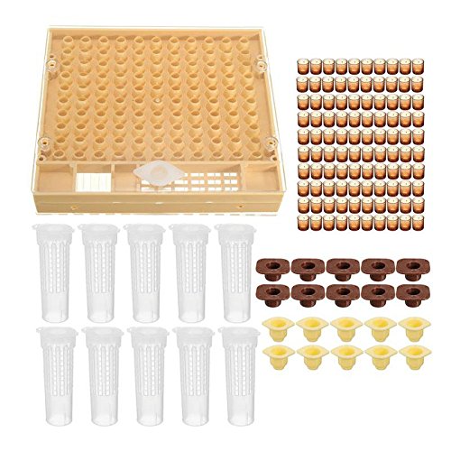 Queen Rearing Starter Kits for Beekeeping