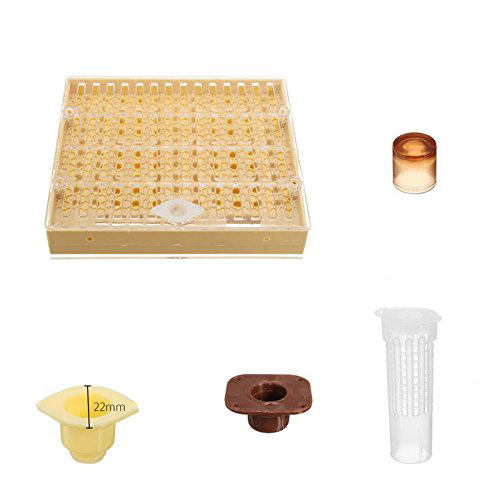 Queen Rearing Starter Kits for Beekeeping