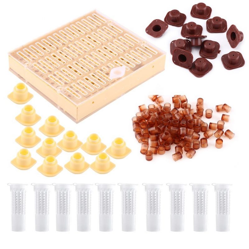 Queen Rearing Starter Kits for Beekeeping