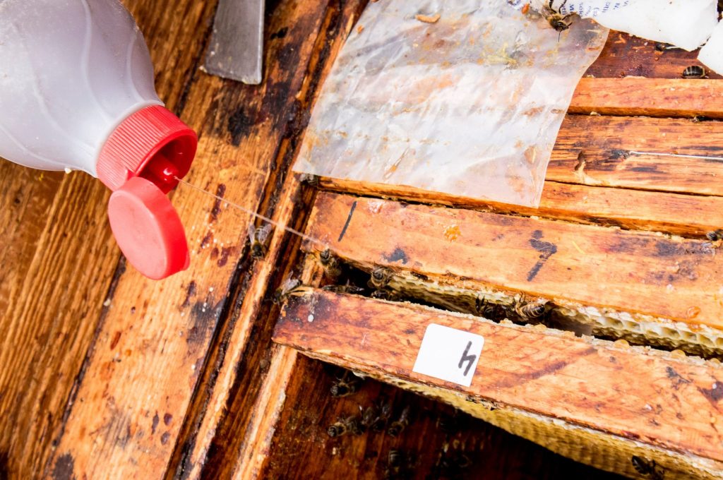 Top 12 Best Treatment for Varroa Mites (2018) - BeeKeepClub