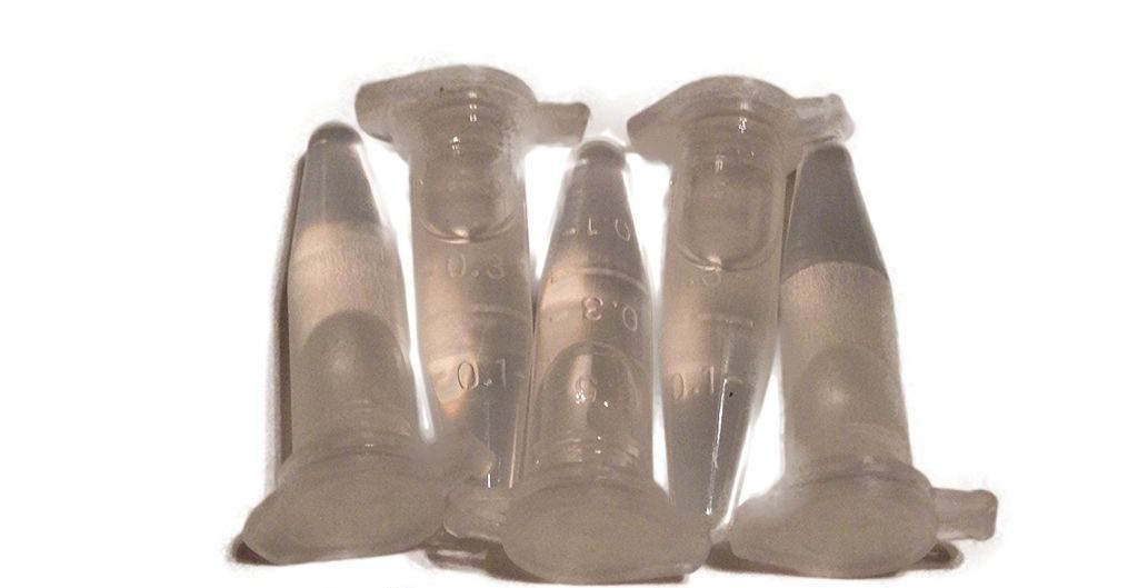 Bee-friendly Swarm Lures for Beekeeping - BeeKeepClub