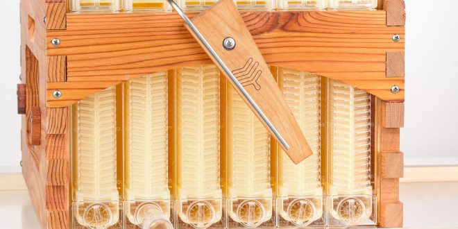 Top 6 Best Honey Flow Frames for Sale (2020) - BeeKeepClub