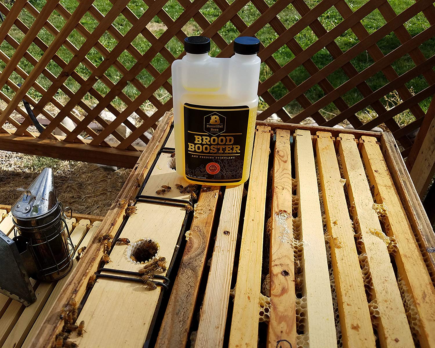 Do You Need a Brood Booster for your Beehives? - BeeKeepClub