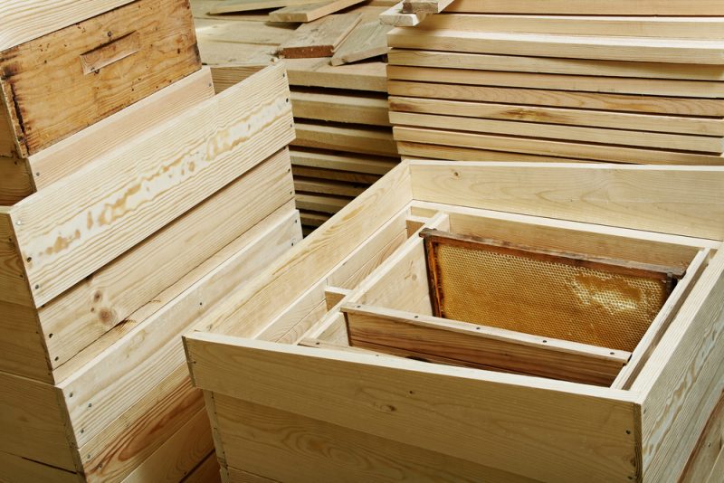 How to Assemble a Langstroth Beehive - BeeKeepClub