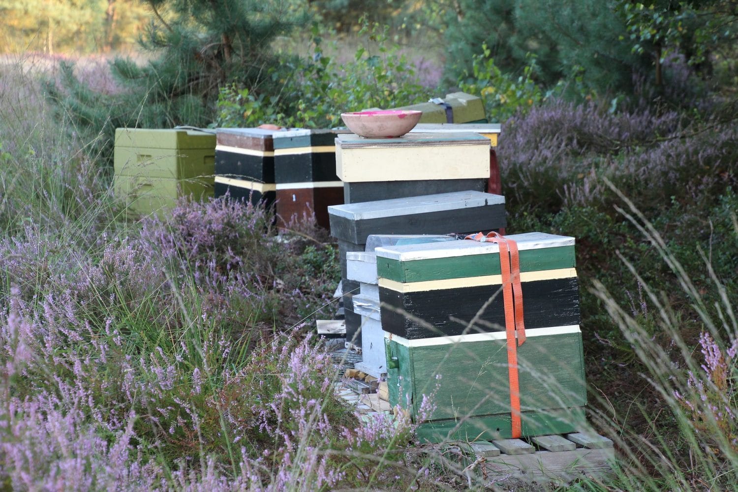 How to Build a Homemade Hive Stand - BeeKeepClub