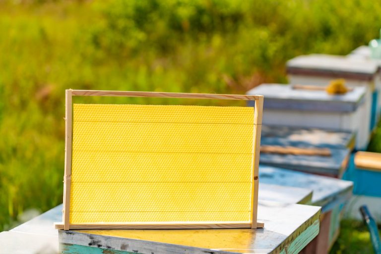 Beehive Frame Assembly – Beginner’s Guide - BeeKeepClub