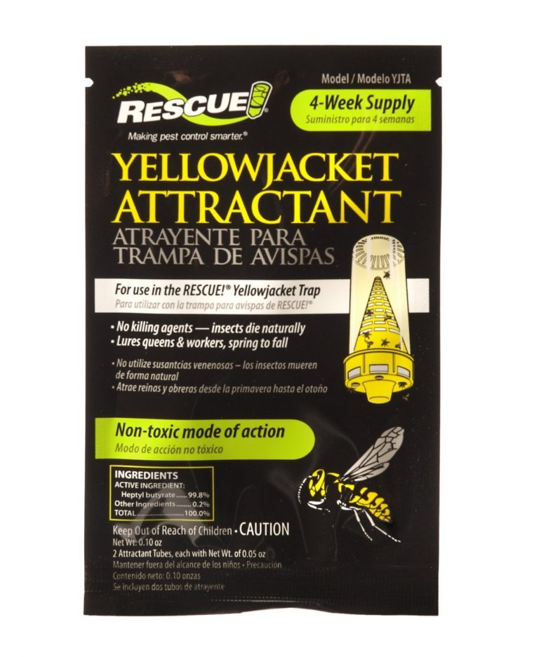 Yellow Jacket Traps and Baits for Beekeeping