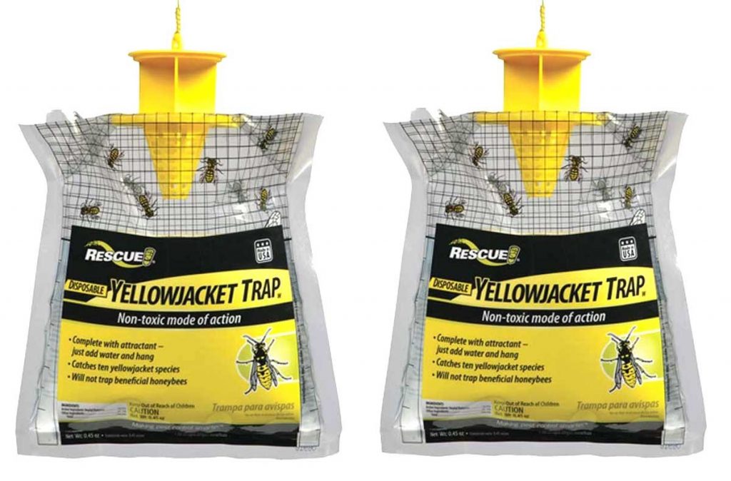 Yellow Jacket Traps and Baits for Beekeeping