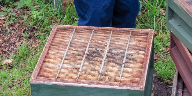 How to Make a Queen Excluder: DIY Beekeeping - BeeKeepClub