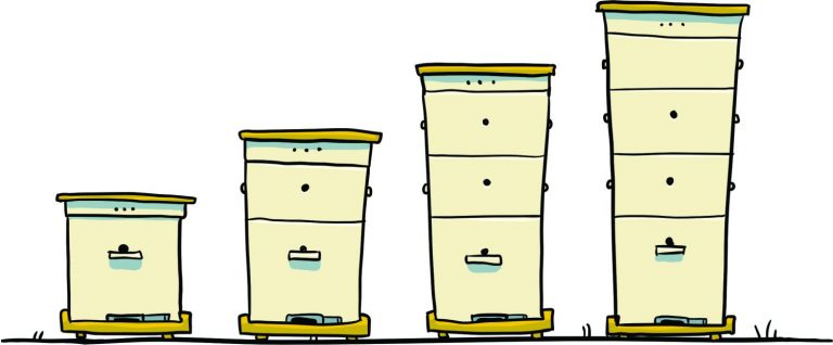 How to Build a Langstroth Beehive Box (Brood & Super) - BeeKeepClub