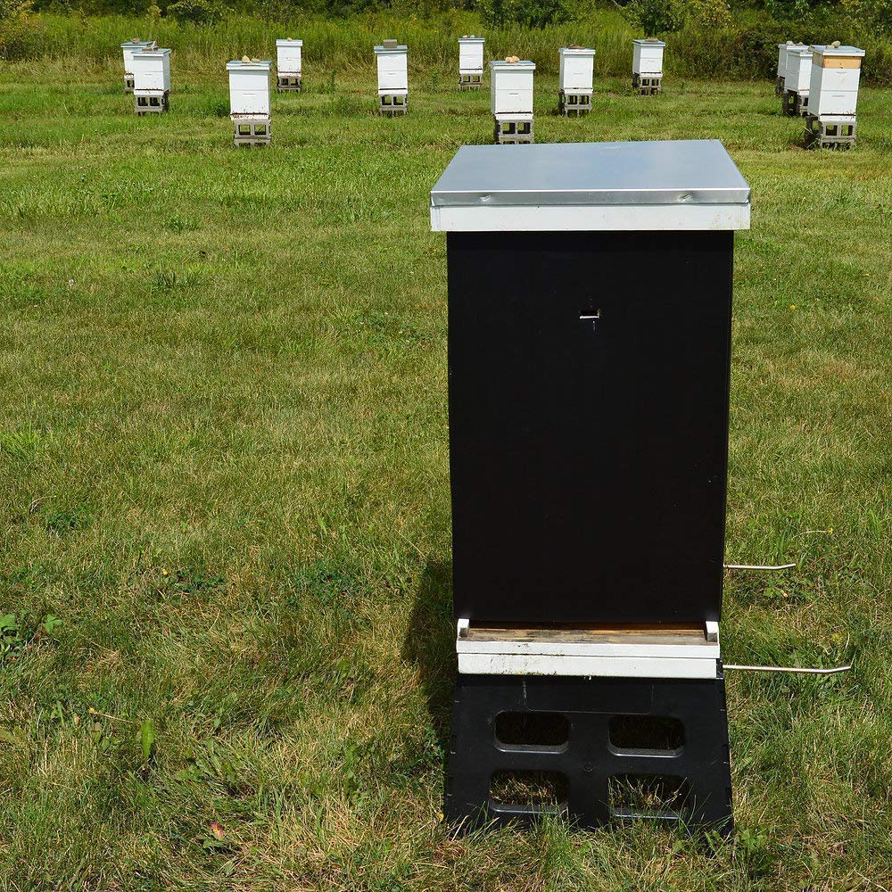 Beehive Winter Wraps for Insulation