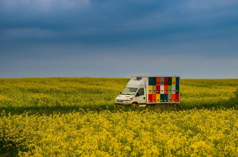 Trucking Bees – How to Move a Beehive - BeeKeepClub