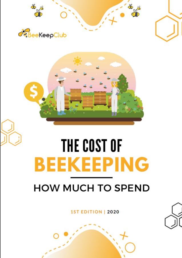 How to Get Started in Beekeeping eBooks - BeeKeepClub