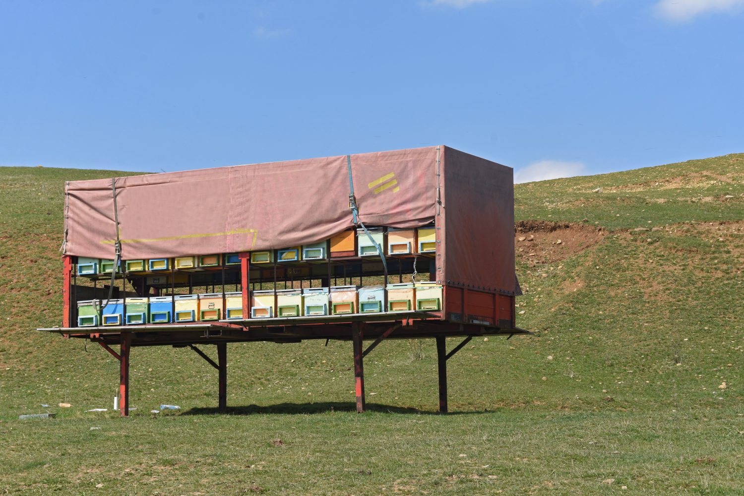 Bee Hauling Tarps and Nets for Transportation - BeeKeepClub