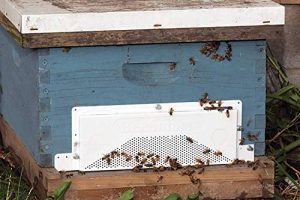 Top 8 Best Beehive Moving and Robbing Screens (2020)