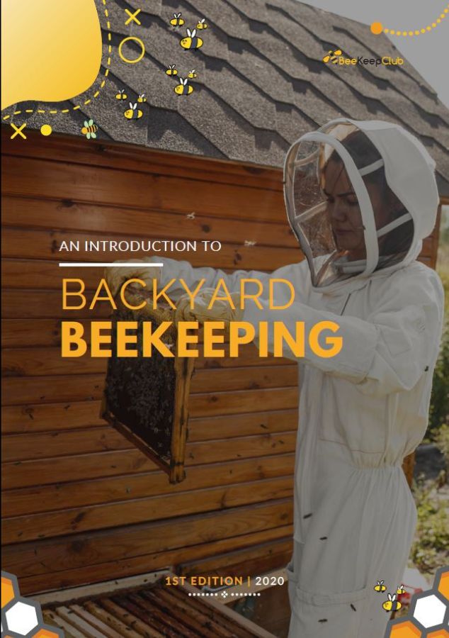 How to Get Started in Beekeeping eBooks - BeeKeepClub