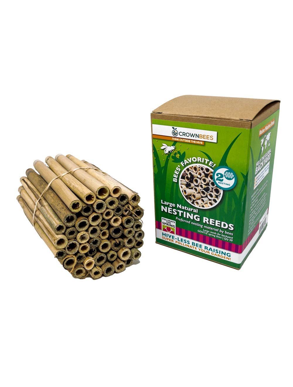 Harvesting Mason Bee Cocoons – The Beginner’s Guide