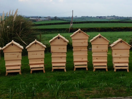 Beginner’s Introduction to the CDB Beehive - BeeKeepClub