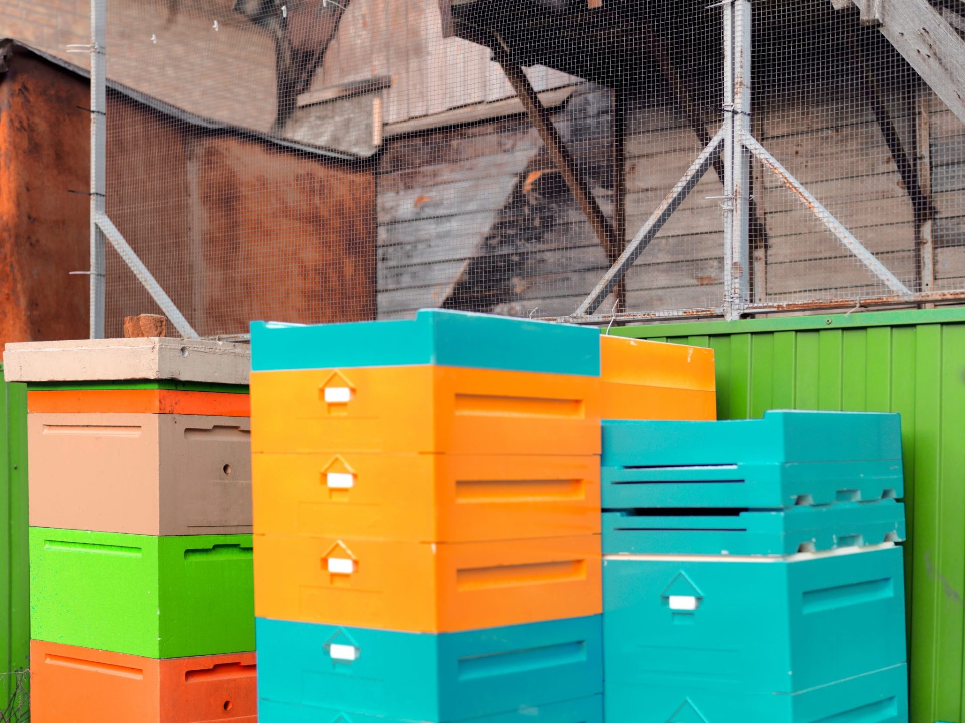 Beehive Mesh – Adding a Mesh to Keep Out Predators