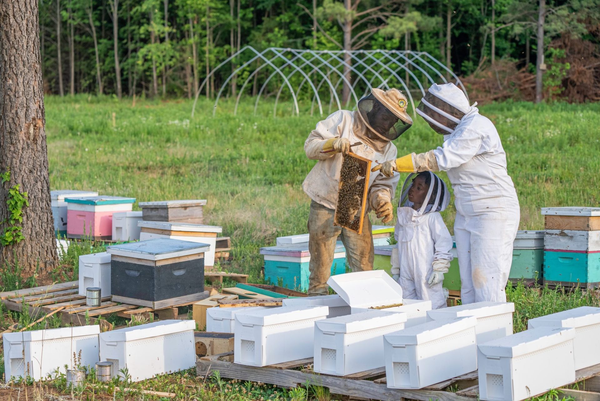 The Importance of Keeping Records as a Beekeeper