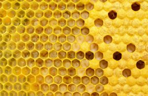 Analyzing Honeycomb: Brood Comb/Cells - BeeKeepClub