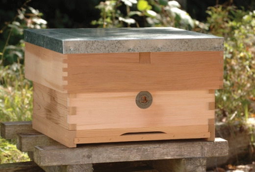 Top 4 Best Auto Flow Beehives (2022) - BeeKeepClub