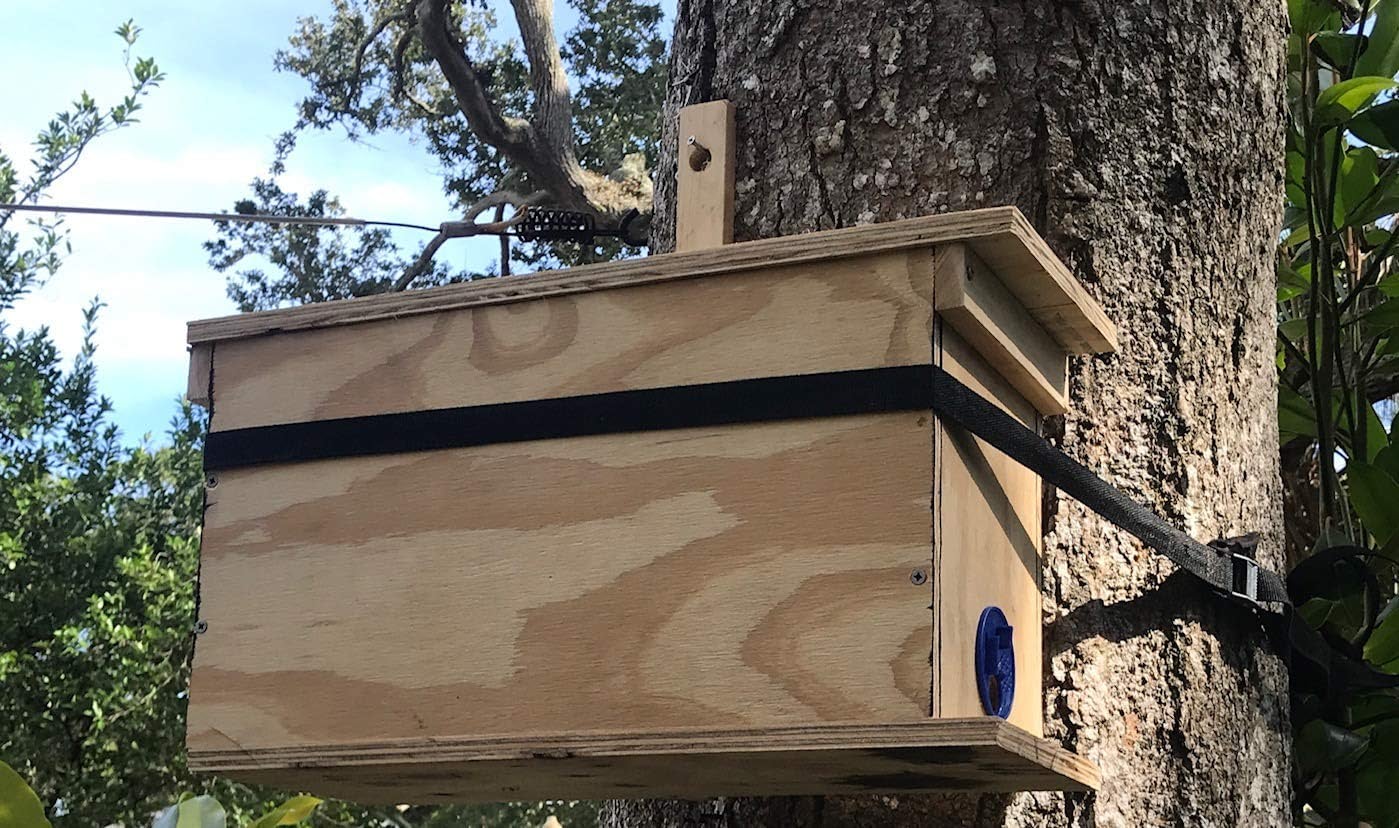Bee-friendly Swarm Lures for Beekeeping - BeeKeepClub