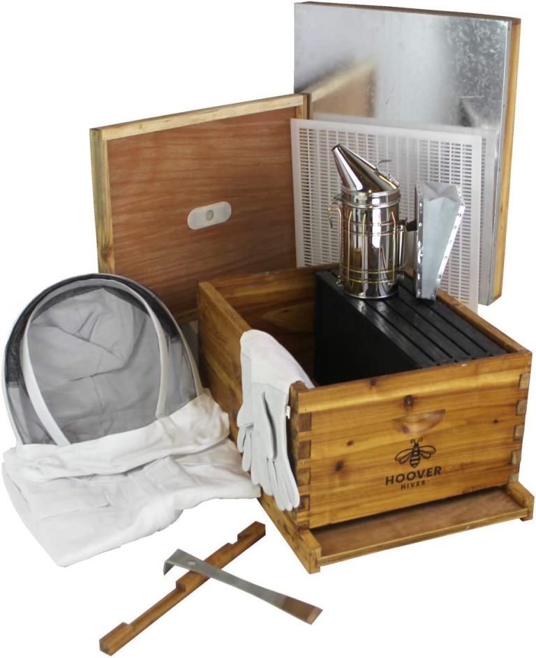 Best Beekeeping Starter Kits for Beginners