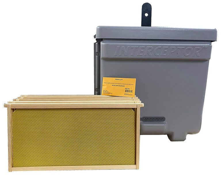 Bee Swarm Traps for Honeybees