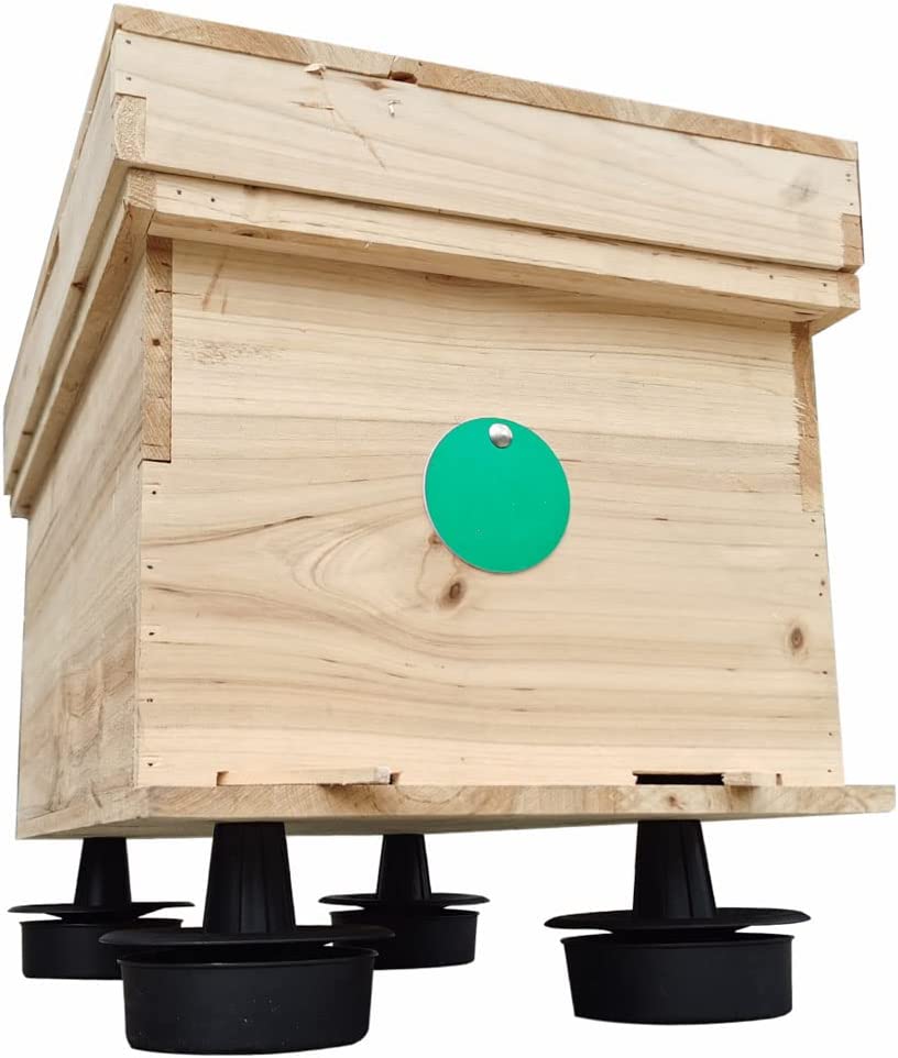 Best Hive Stands for Beekeeping