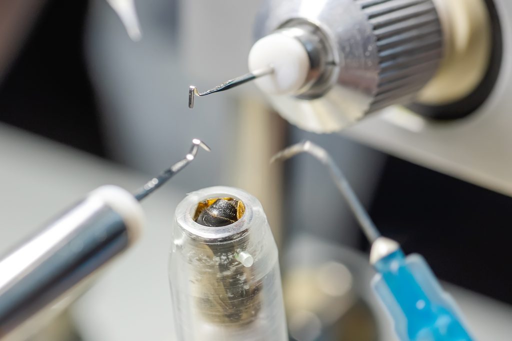 An Introduction to Honeybee Queen Rearing - BeeKeepClub